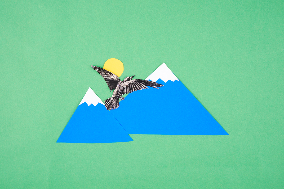 Family how-to: make a stop-frame animation | Blog | Royal Academy of Arts